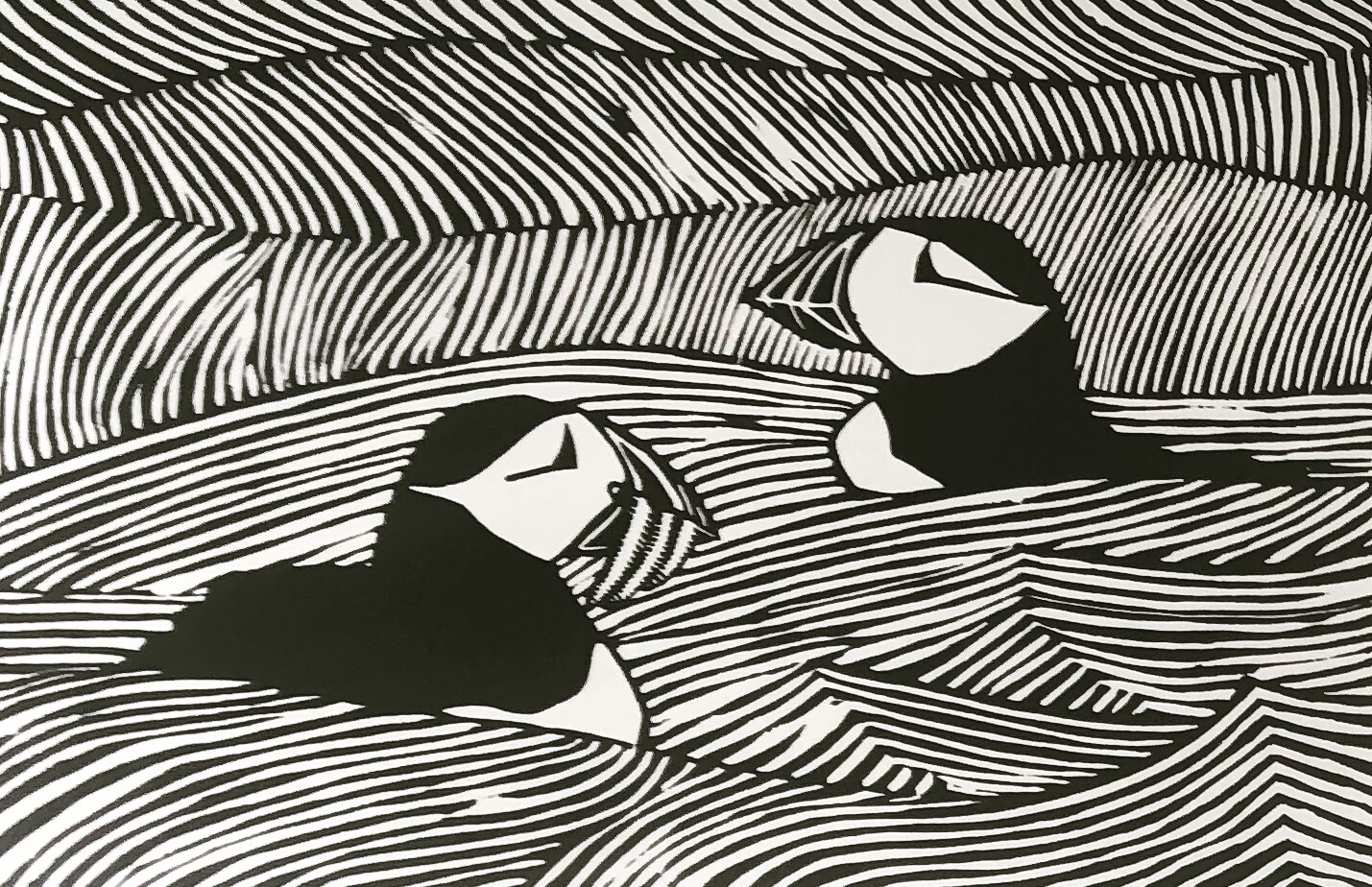 Seabird Project – Caroline Convey Artist