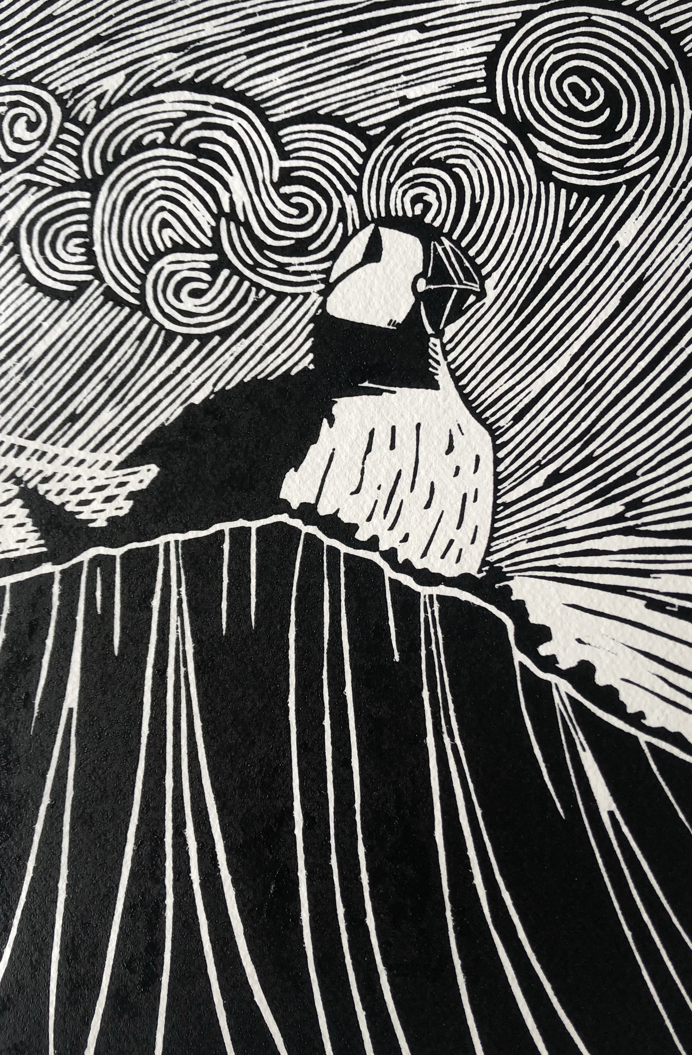 Seabird Project – Caroline Convey Artist