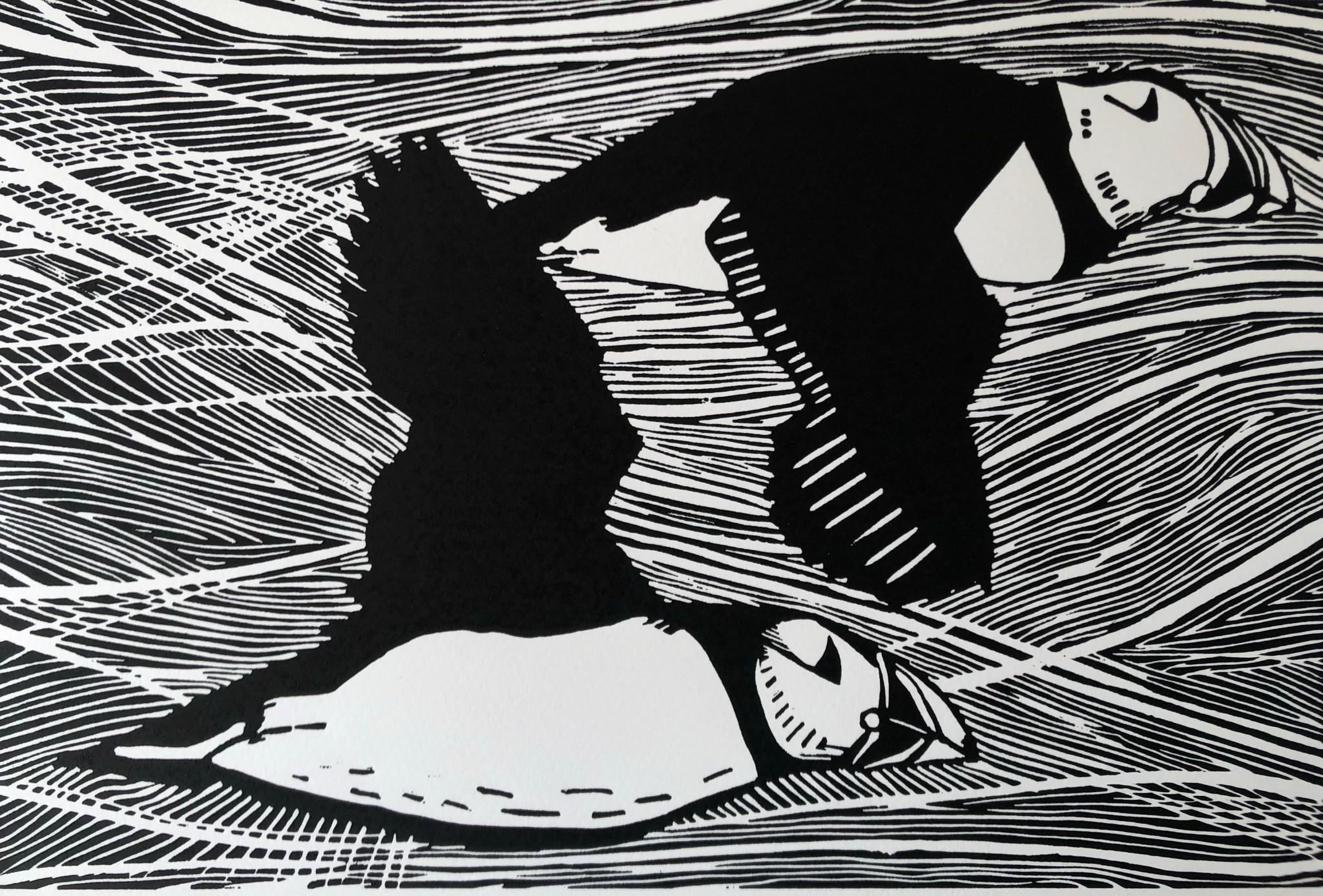 Seabird Project – Caroline Convey Artist