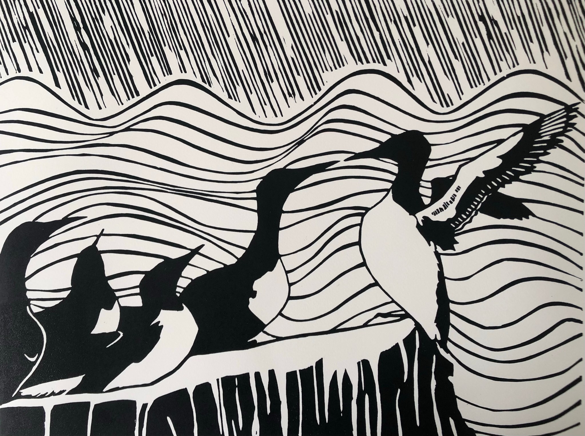 Seabird Project – Caroline Convey Artist