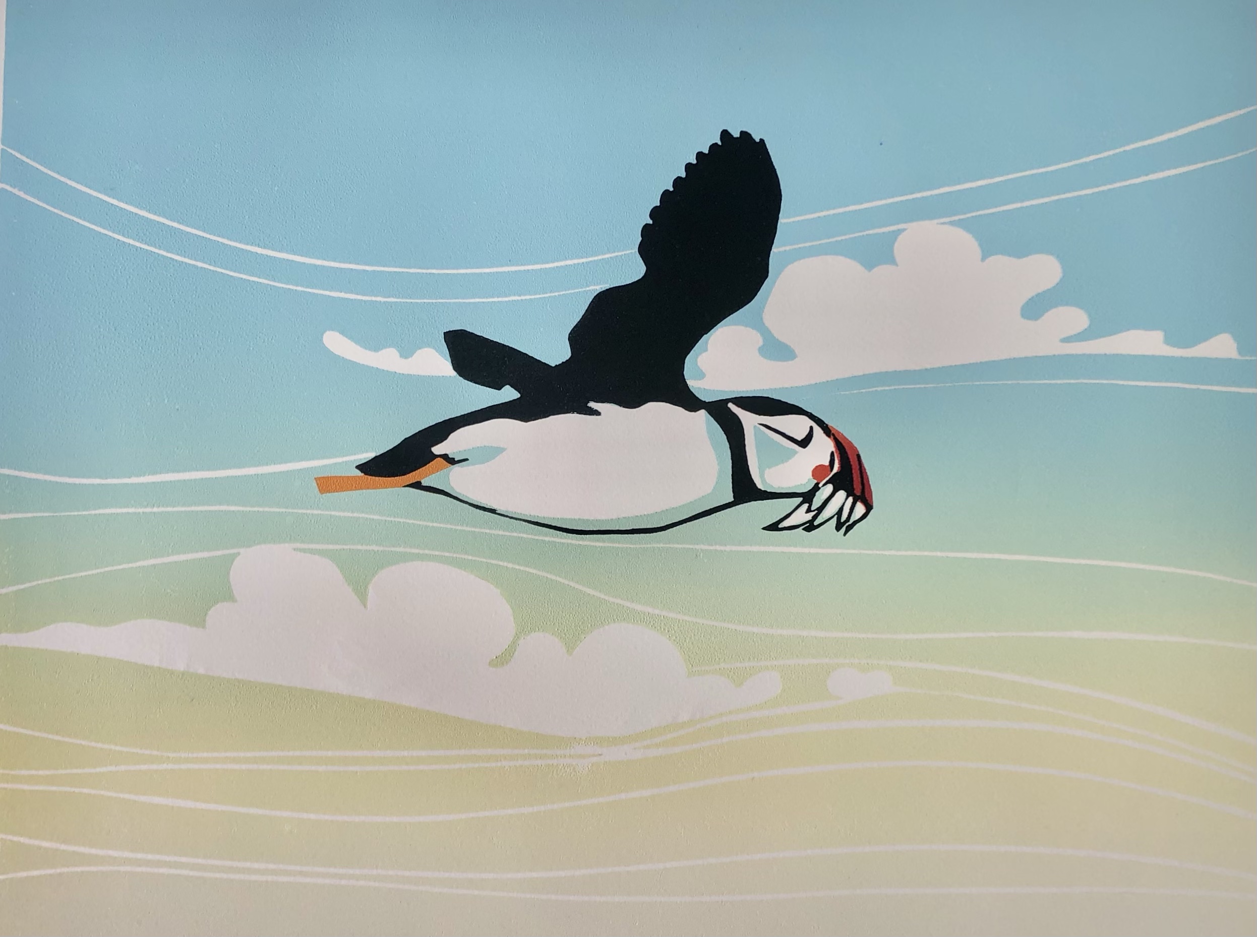 Seabird Project – Caroline Convey Artist