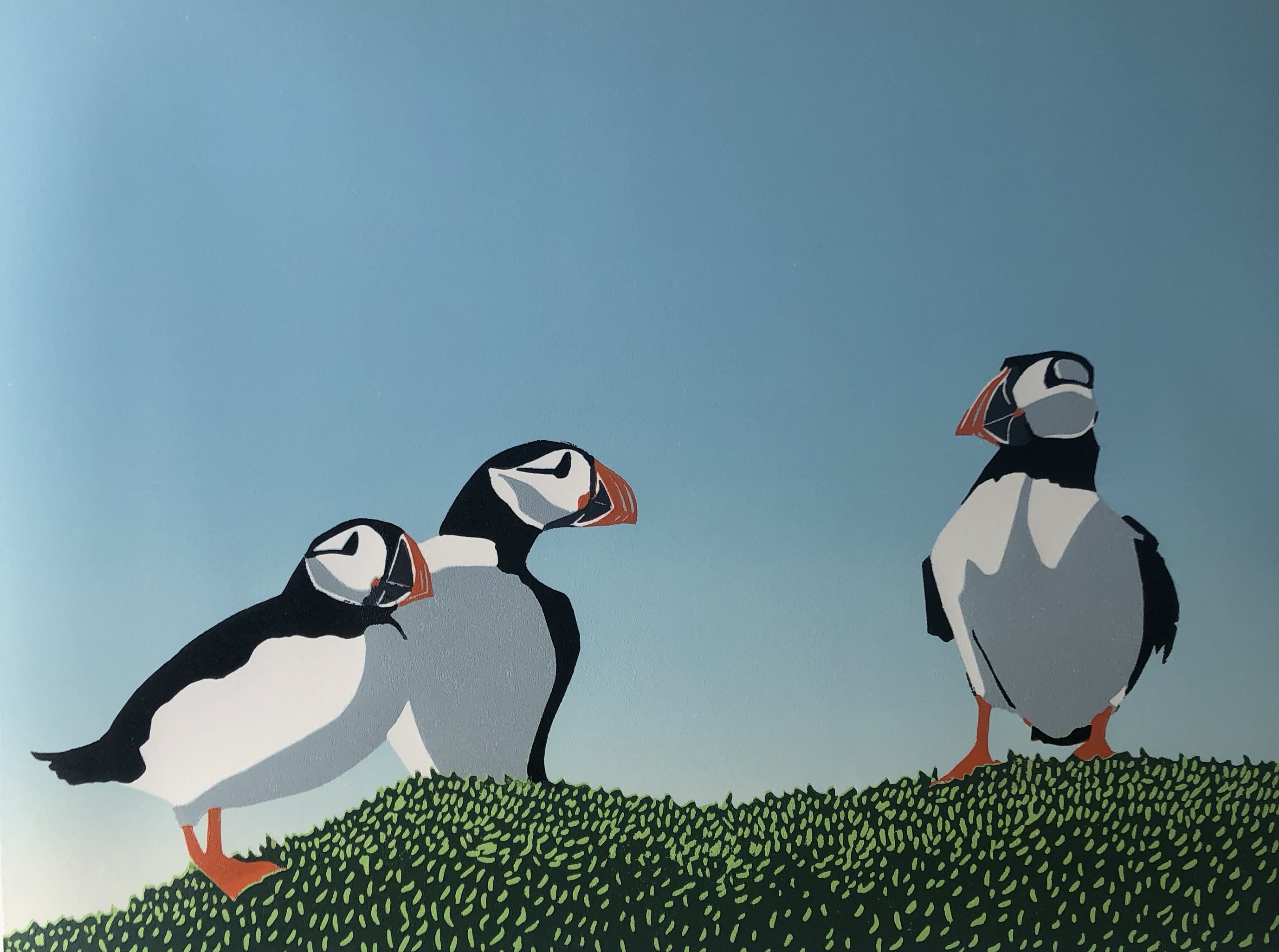 Seabird Project – Caroline Convey Artist