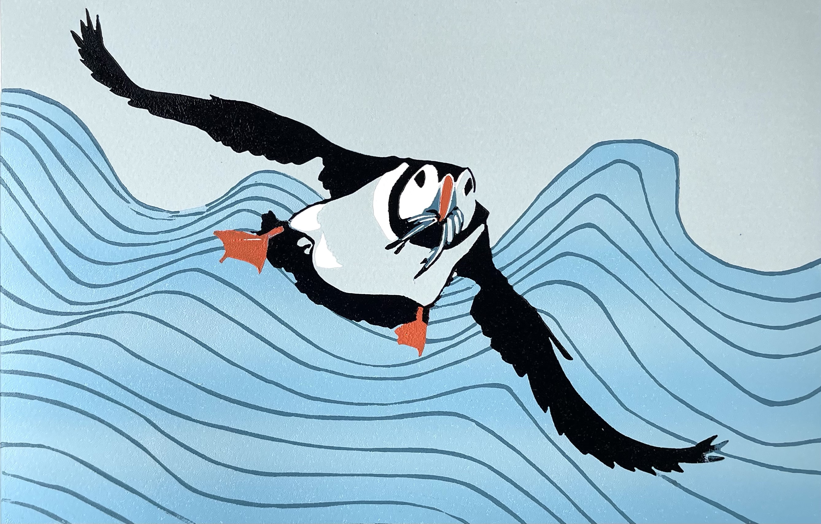 Seabird Project – Caroline Convey Artist