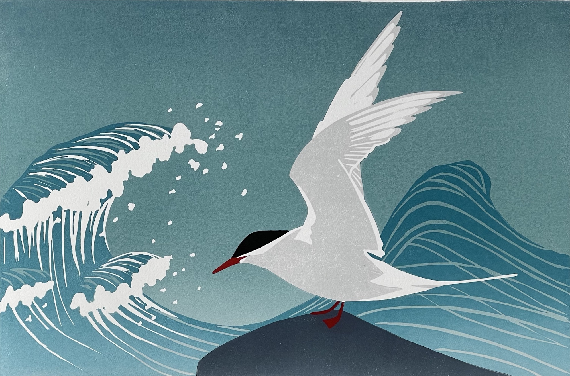 Printmaking – Caroline Convey Artist