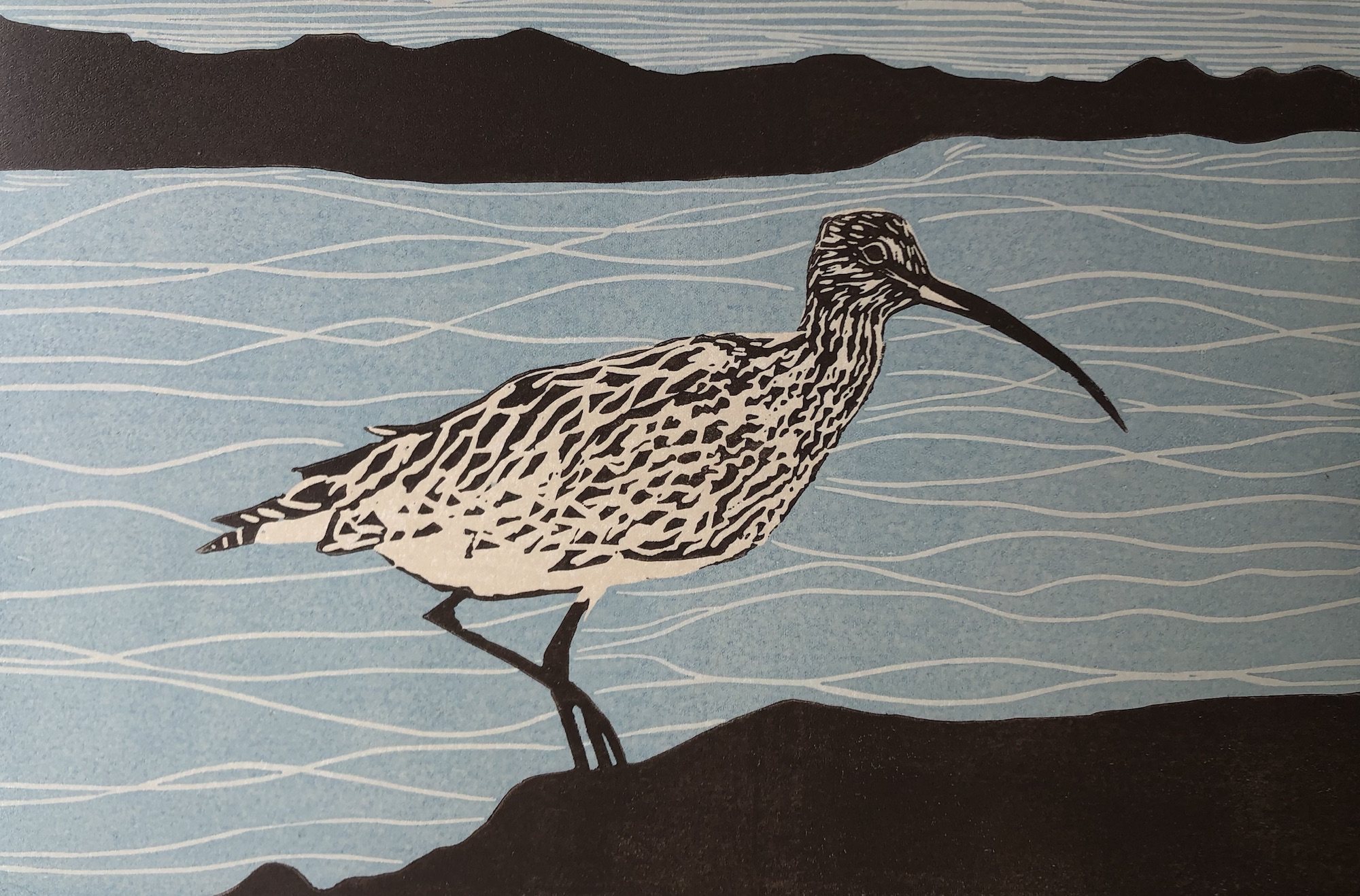 Printmaking – Caroline Convey Artist