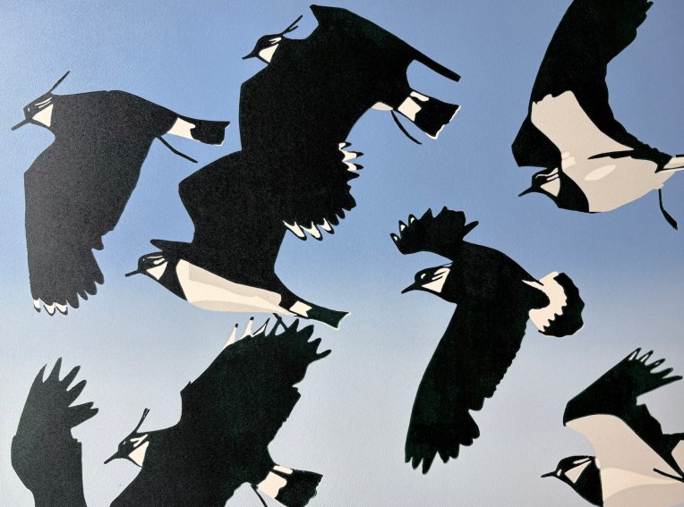 Printmaking – Caroline Convey Artist
